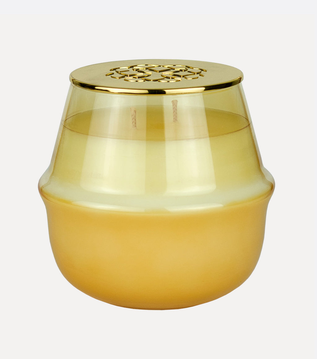 Elum Designs | Golden Basil & Mint 18 oz Rowan Glass Candle